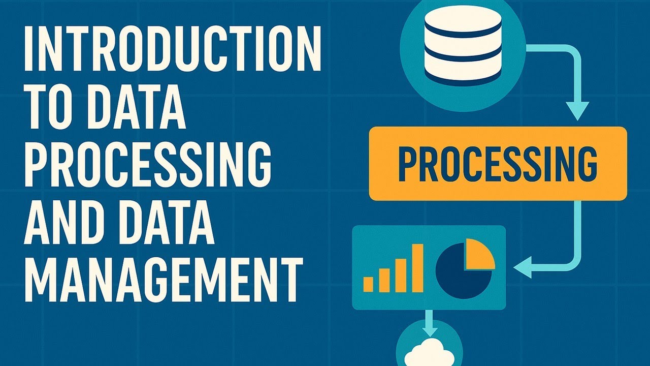Data Processing and Data Management | Beginner's Guide to Data Systems ...