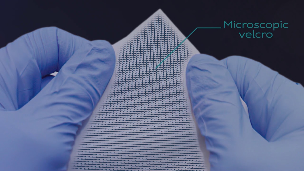 Aquila Pathogen Capture Technology - YouTube