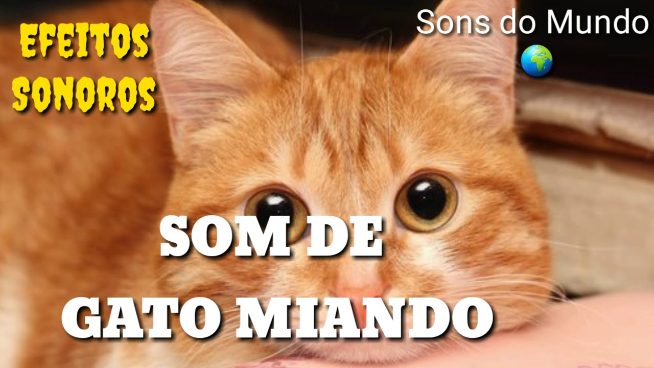 sound effects, SOM DE GATO MIANDO, Efeitos Sonoros para youtubers - YouTube