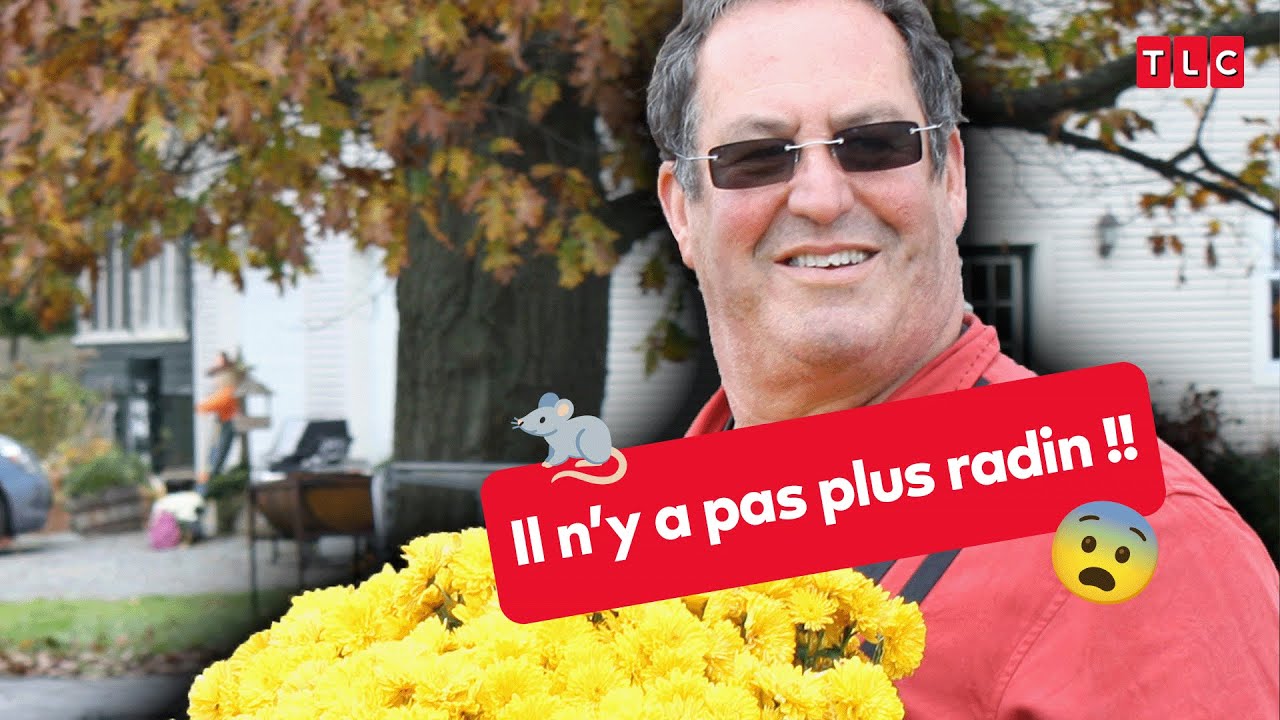 Le rat : discret, prudent, intelligent et très proche de l'Homme 🐀 | Ma ...