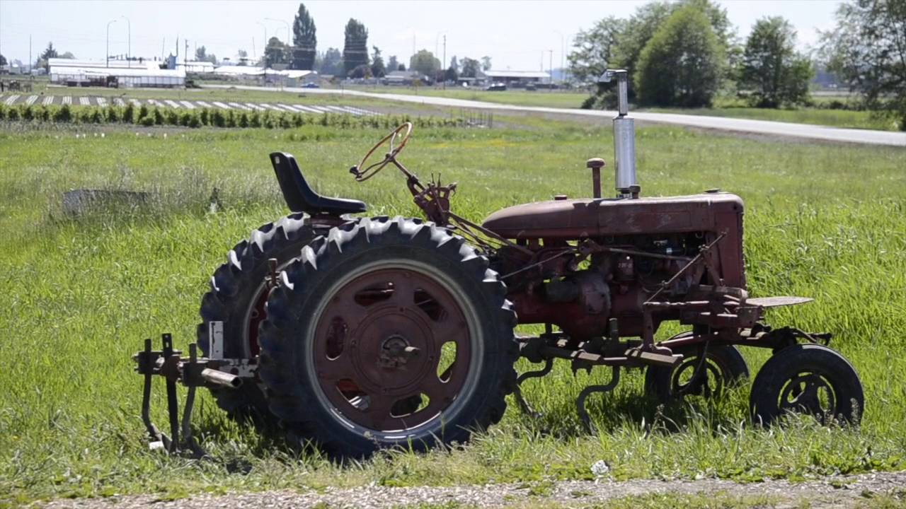 Viva Farms Presents: Nelida Martinez - YouTube