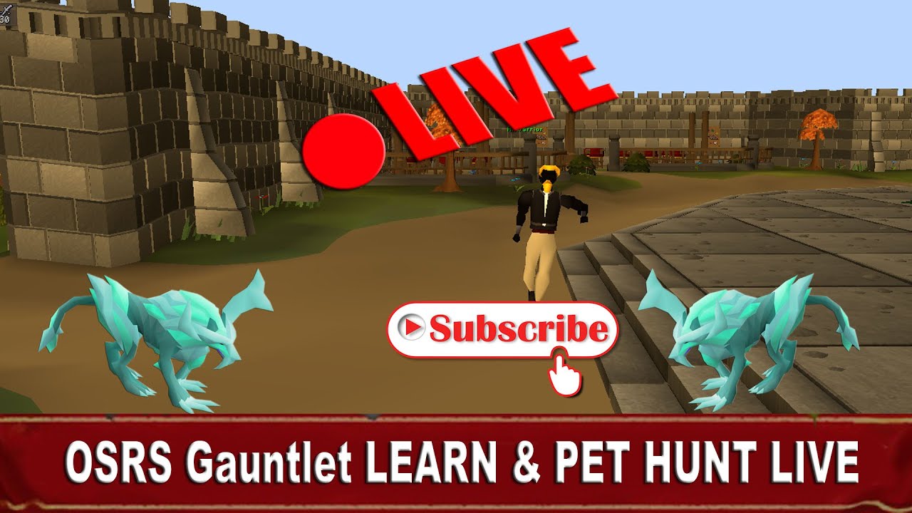 │LIVE│OSRS The Gauntlet learning & Pet Hunting "LIVE" Streaming - YouTube