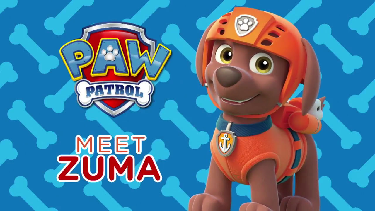 PAW Patrol Meet zuma for KIDS - YouTube