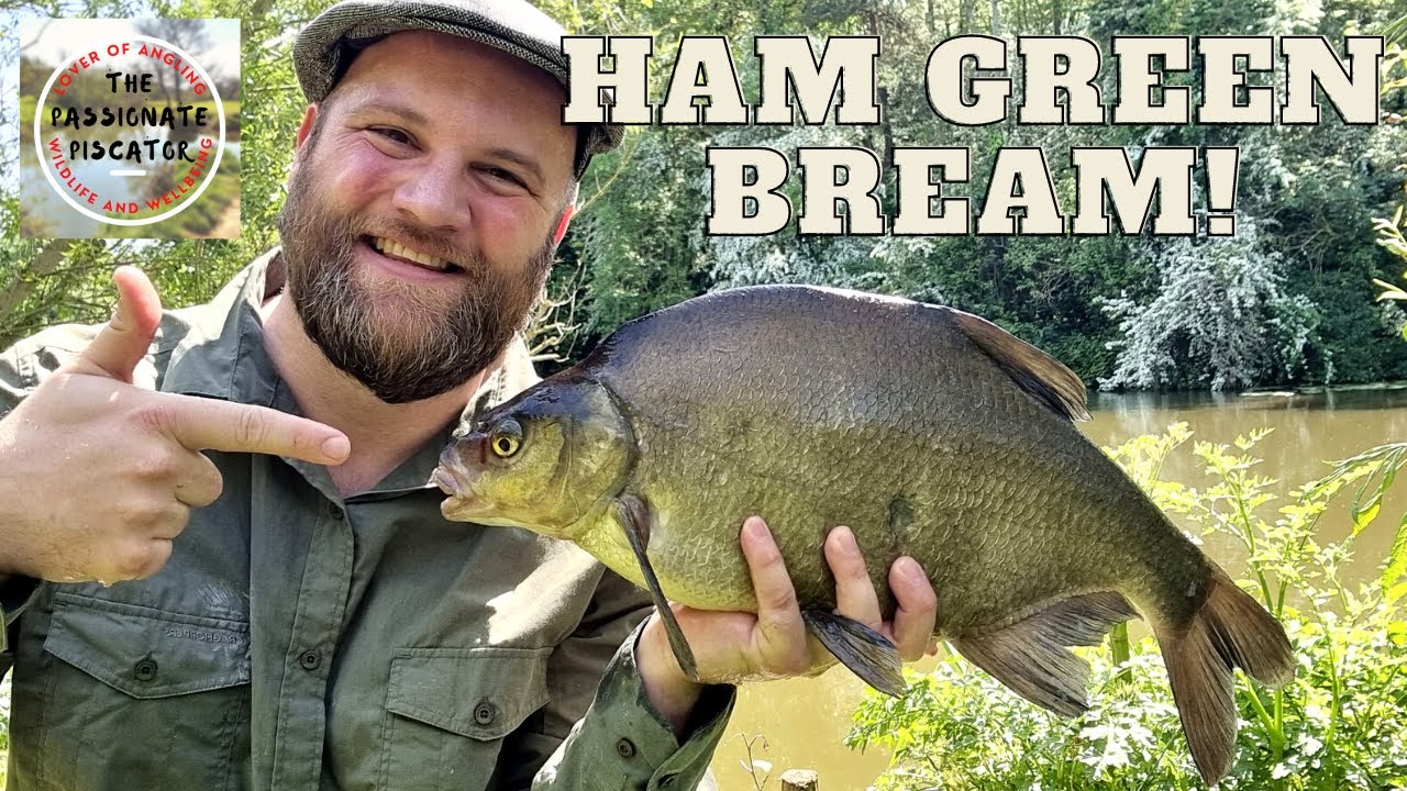 A Ham Green Bream Dream - Feeder Fishing - YouTube