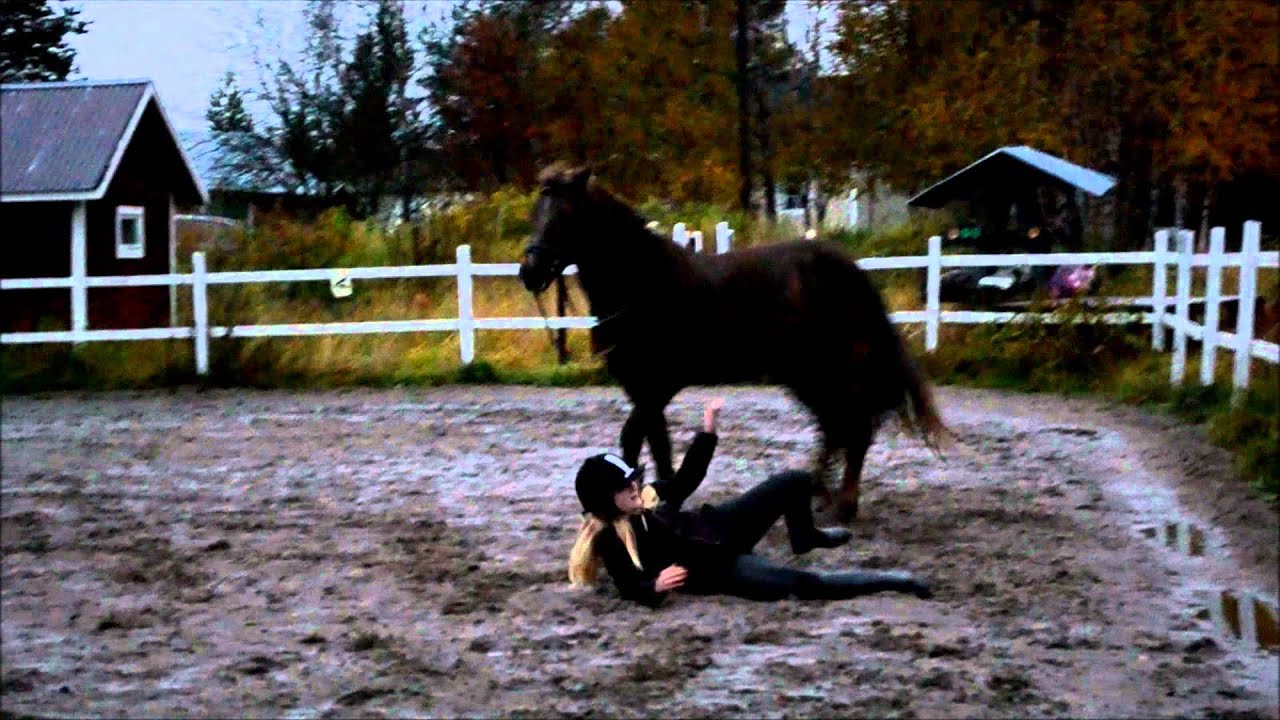 Fell off horse and hit my head in the ground!! - YouTube