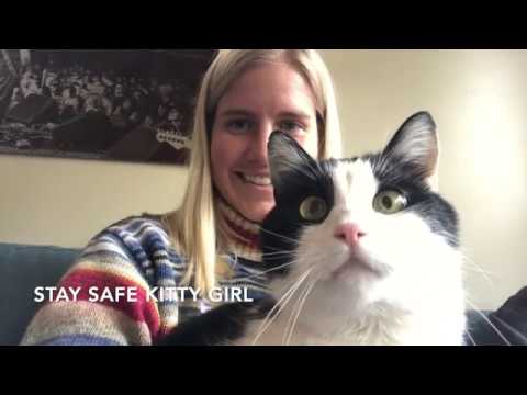 Cameron Coyle - A Coyote A Day - YouTube