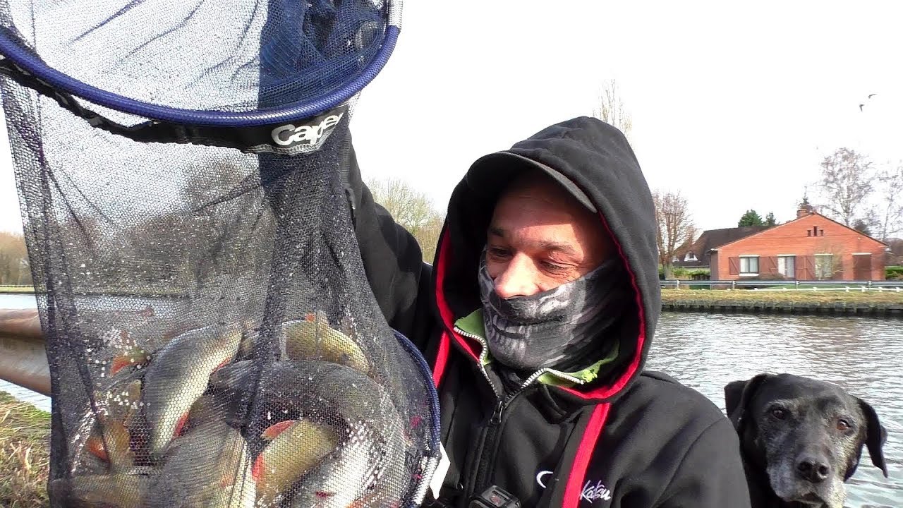 Awesome Perch Day - YouTube
