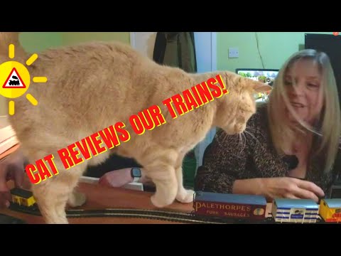Our Cats Favourite Model Trains🚂🐈 - YouTube