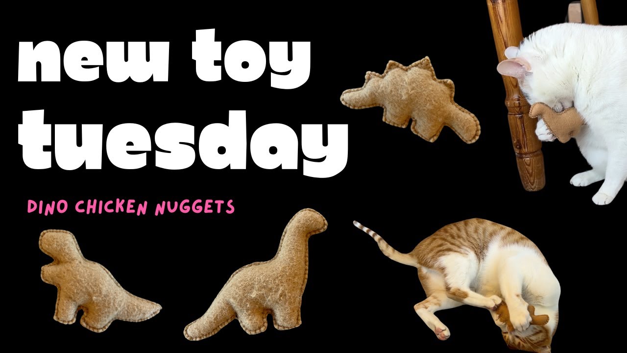 NEW TOY TUESDAY • Dinosaur Chicken Nugget Cat Toy! - YouTube