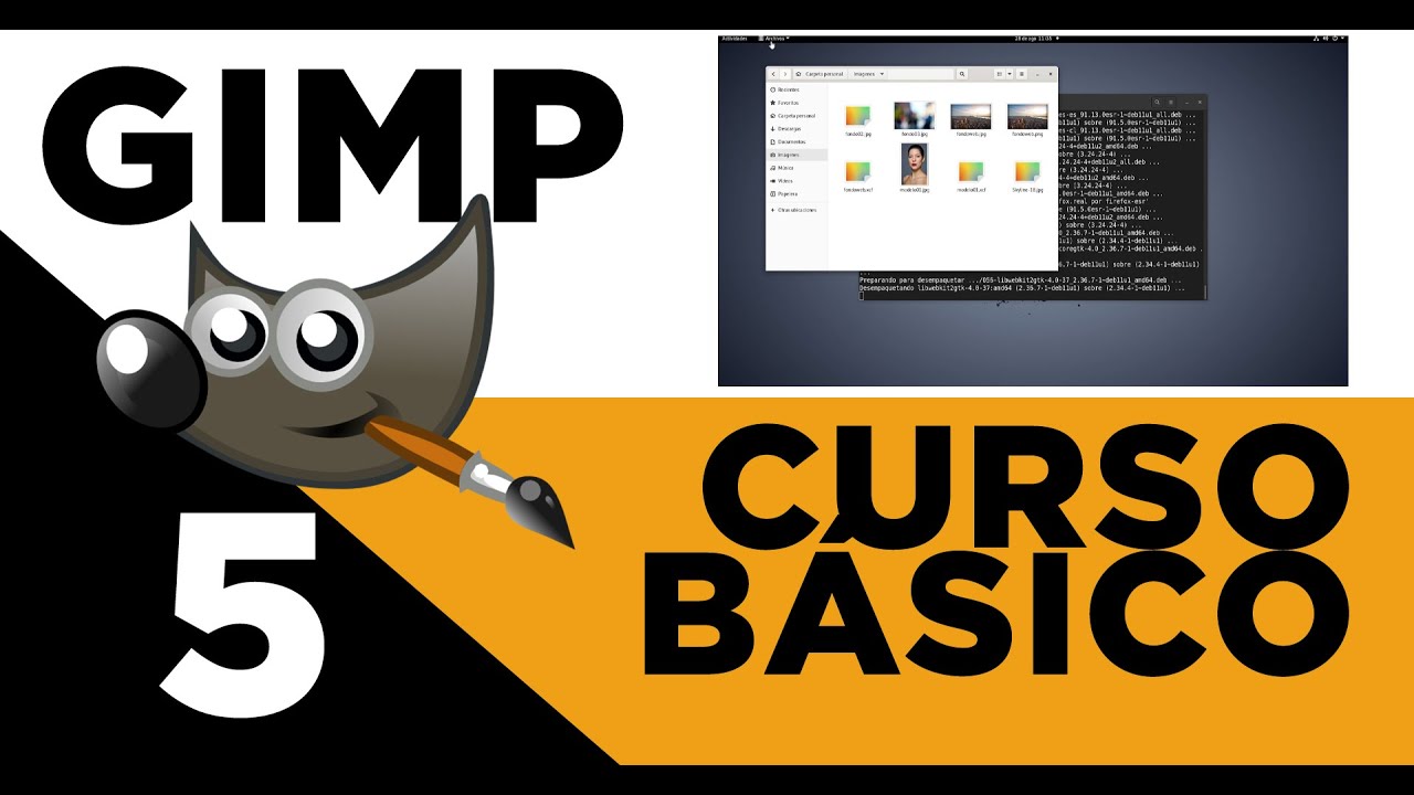 Selección Rectangular Y Circular Con Gimp - YouTube