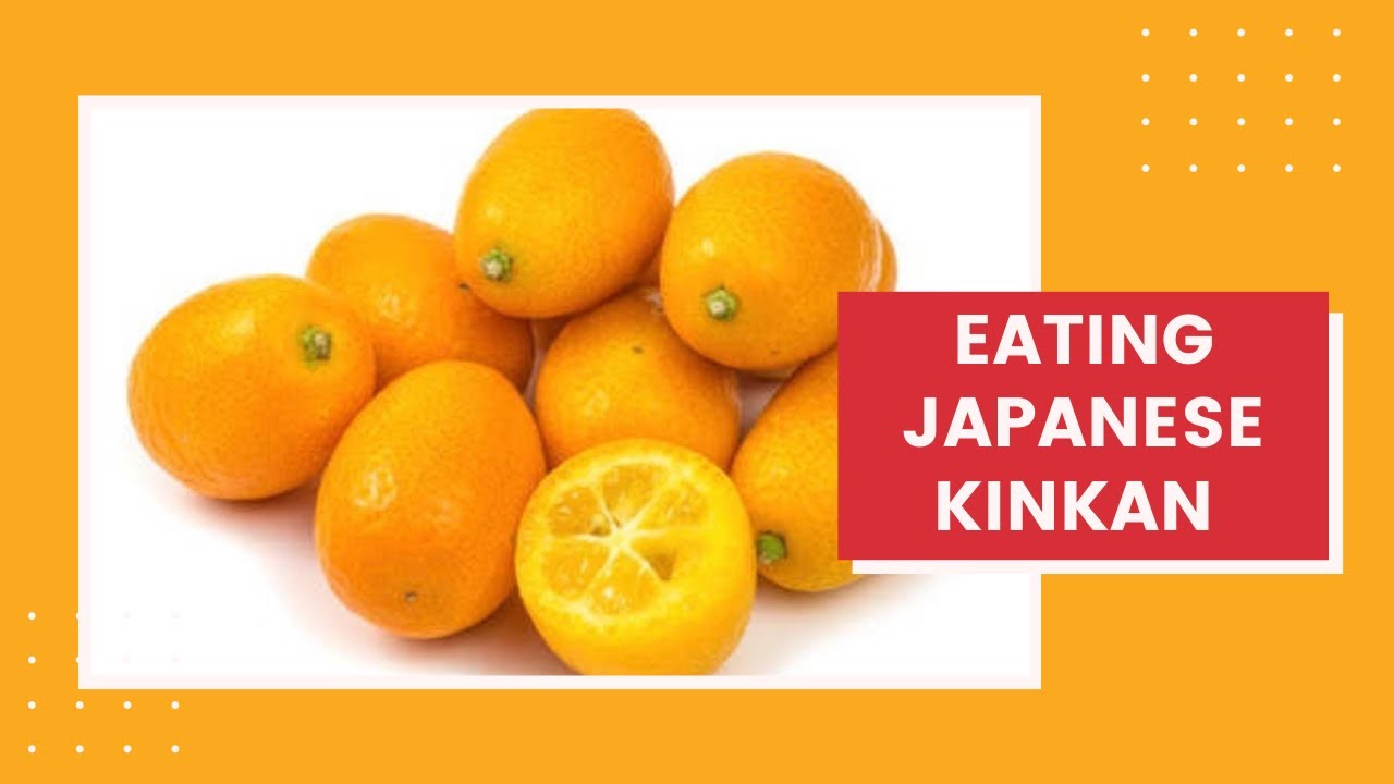Eating Japanese KINKAN || Citrus Fruit - YouTube