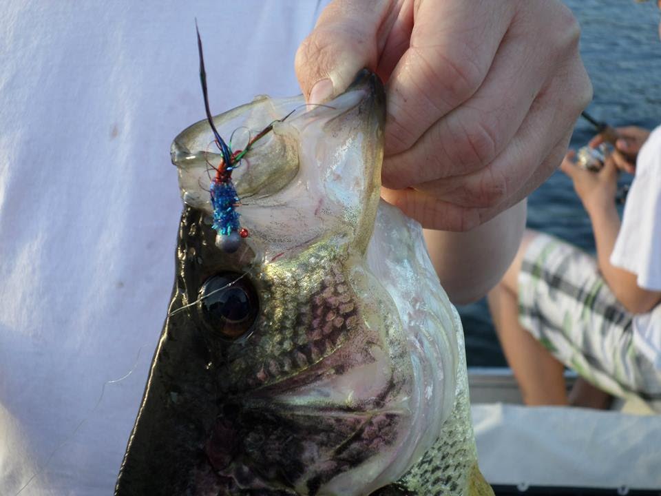Rip Some Lips Tying KILLER Crappie Jigs 101 HG Bait Co Glitter rip-some-lips-tying-killer-crappie-jigs-101-hg-bait-co-glitter