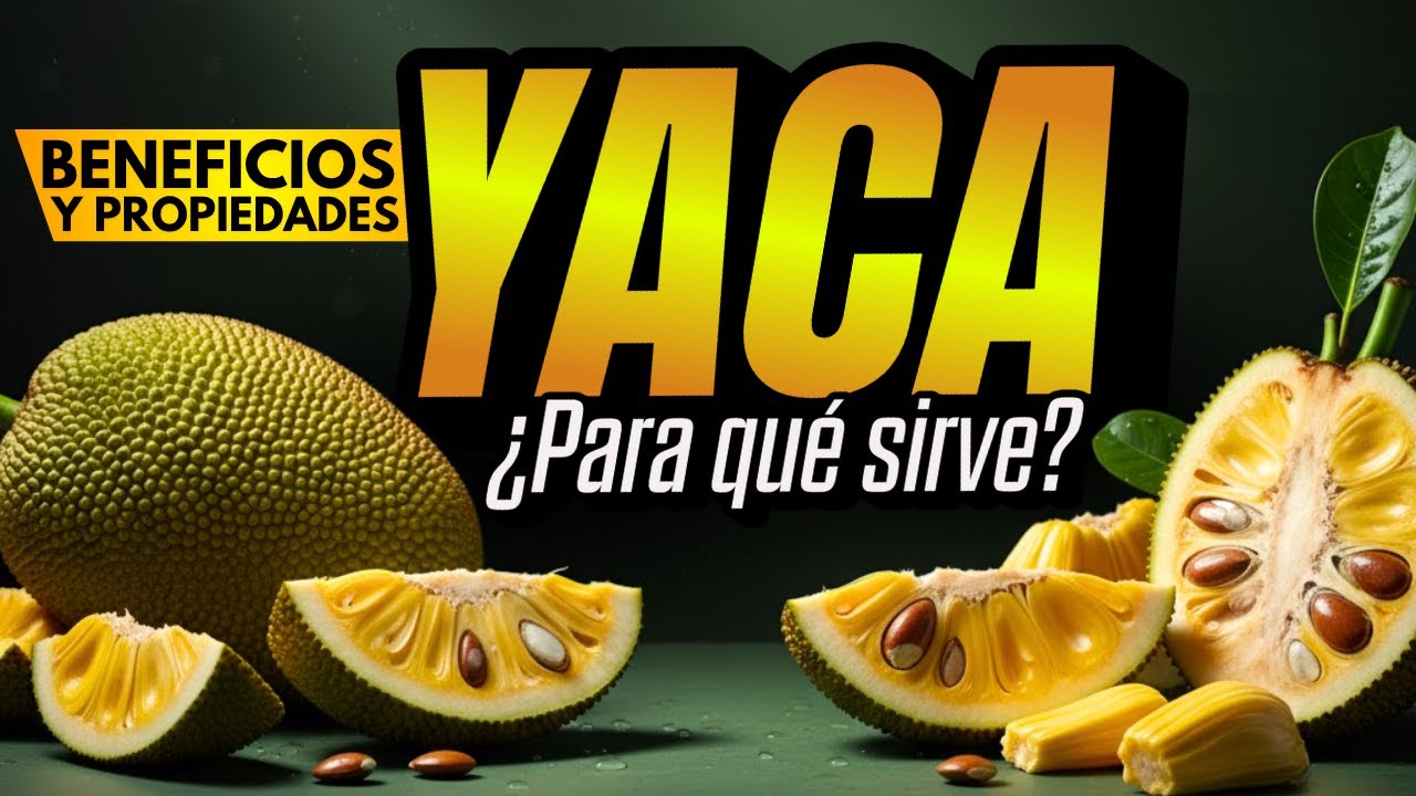 17 BENEFICIOS INCREÍBLES de la YACA (JACA) para tu SALUD - YouTube