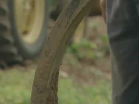 Custom-made Zone Tiller from Vegetable Farmers and their Sustainable ...