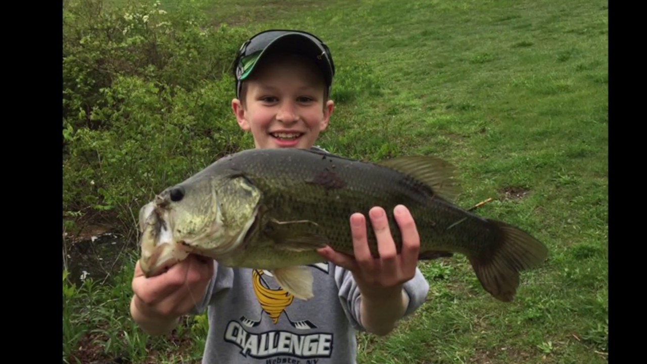 Catching A Bullfrog On A Topwater Frog! (Plus my PB LM Bass) - YouTube