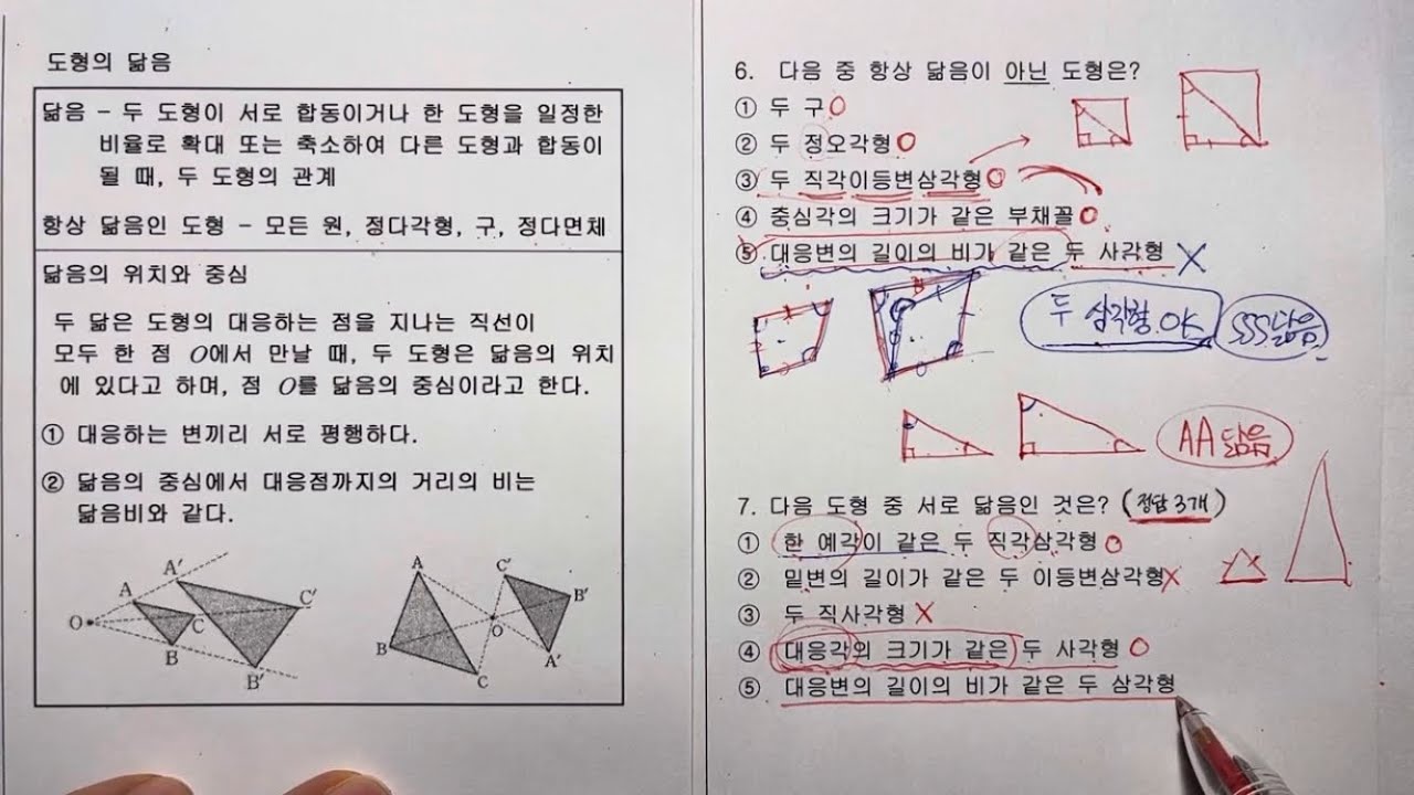 항상 닮음인 도형 원 정다각형 구 정다면체 직각이등변삼각형 중심각의 크기가 같은 부채꼴 중2 2수학 도형의 닮음