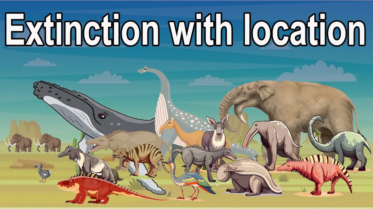 Extinction Animal Size Comparison With Location in 2024 - YouTube