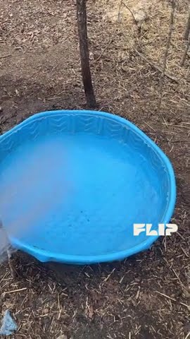 Part 2 of our quick and easy “pond” set up. - YouTube