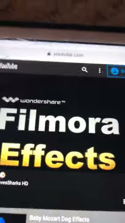 Baby Mozart dog - YouTube