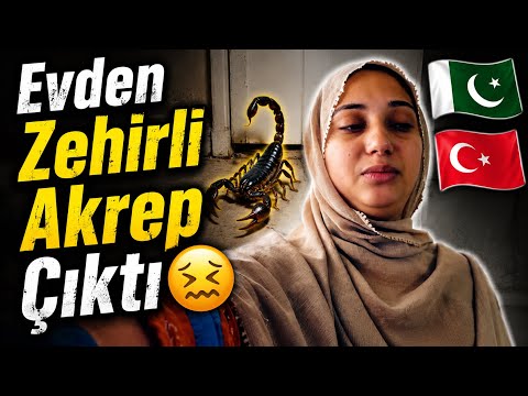 Evde Zehirli Akrep🫨| Elektiriksiz kaldık🫣| Yağmurda doyasıya eğlendiler😇| Herkese  davet😍|Alifizza