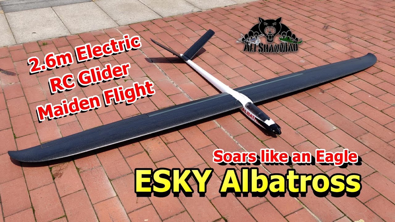 Easy to Thermal E SKY Albatross Electric RC Glider Maiden flight - YouTube