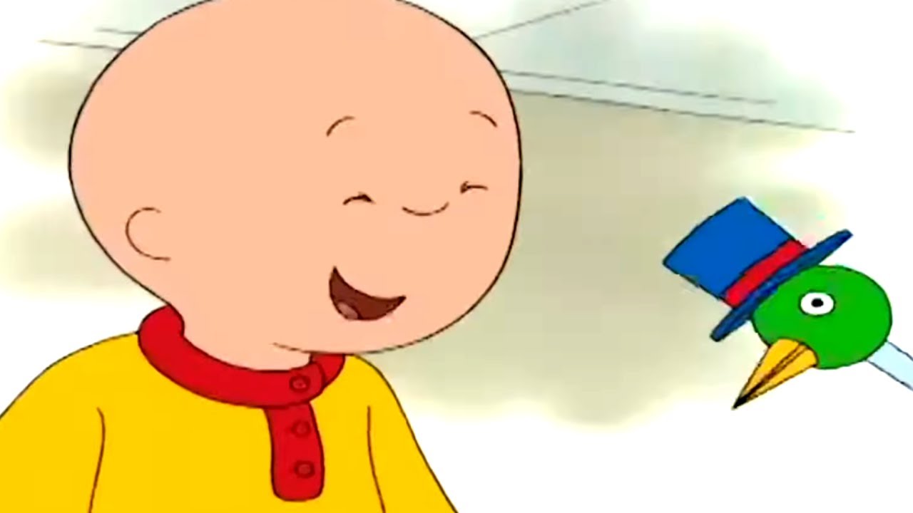 Caillou é enganado | Caillou em Português - WildBrain - YouTube