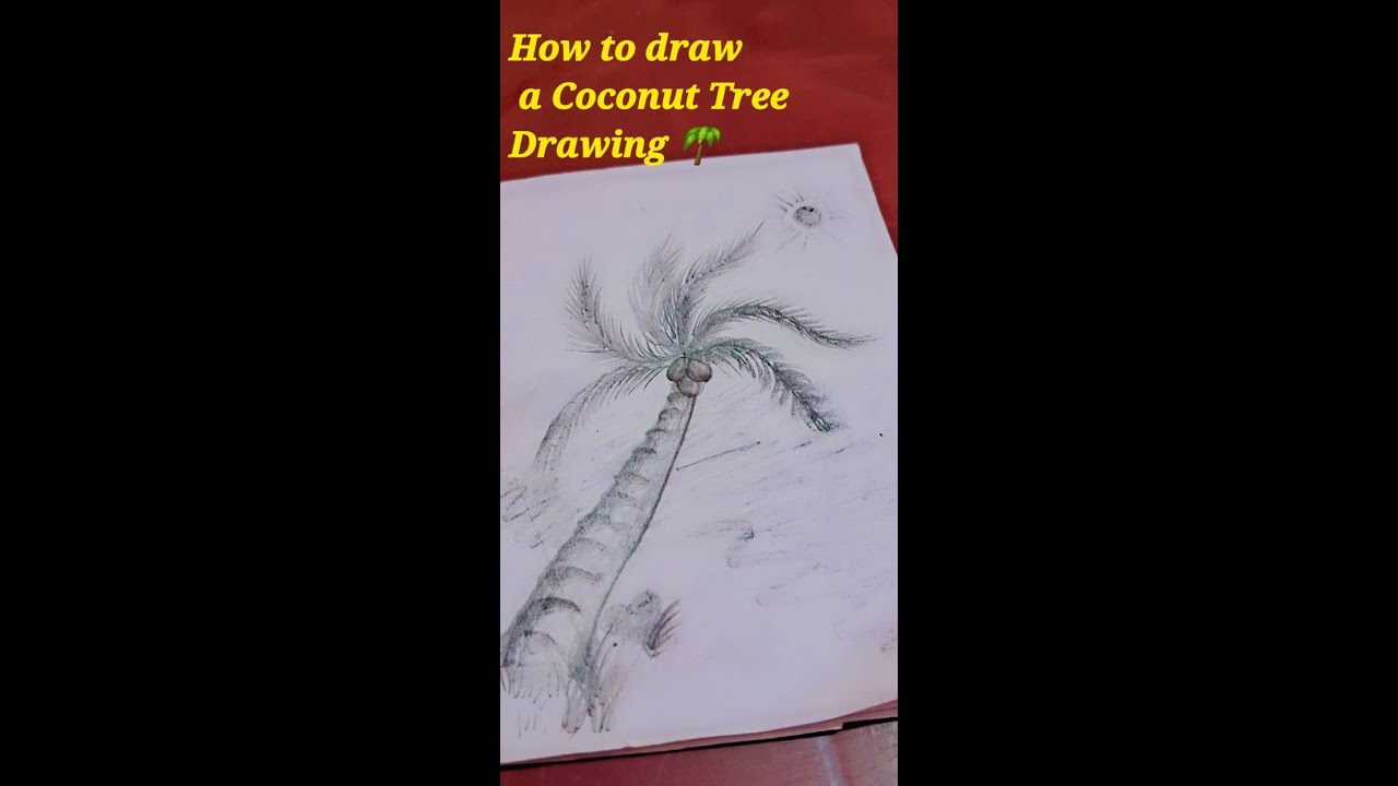 Tree Drowning|| Coconut Tree Drawing ||How to Sketch a Coconut Tree 🌴 ...