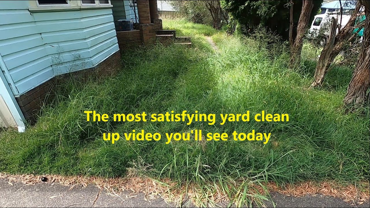 ULTRA SATISFYING tall grass cutting!!! - YouTube
