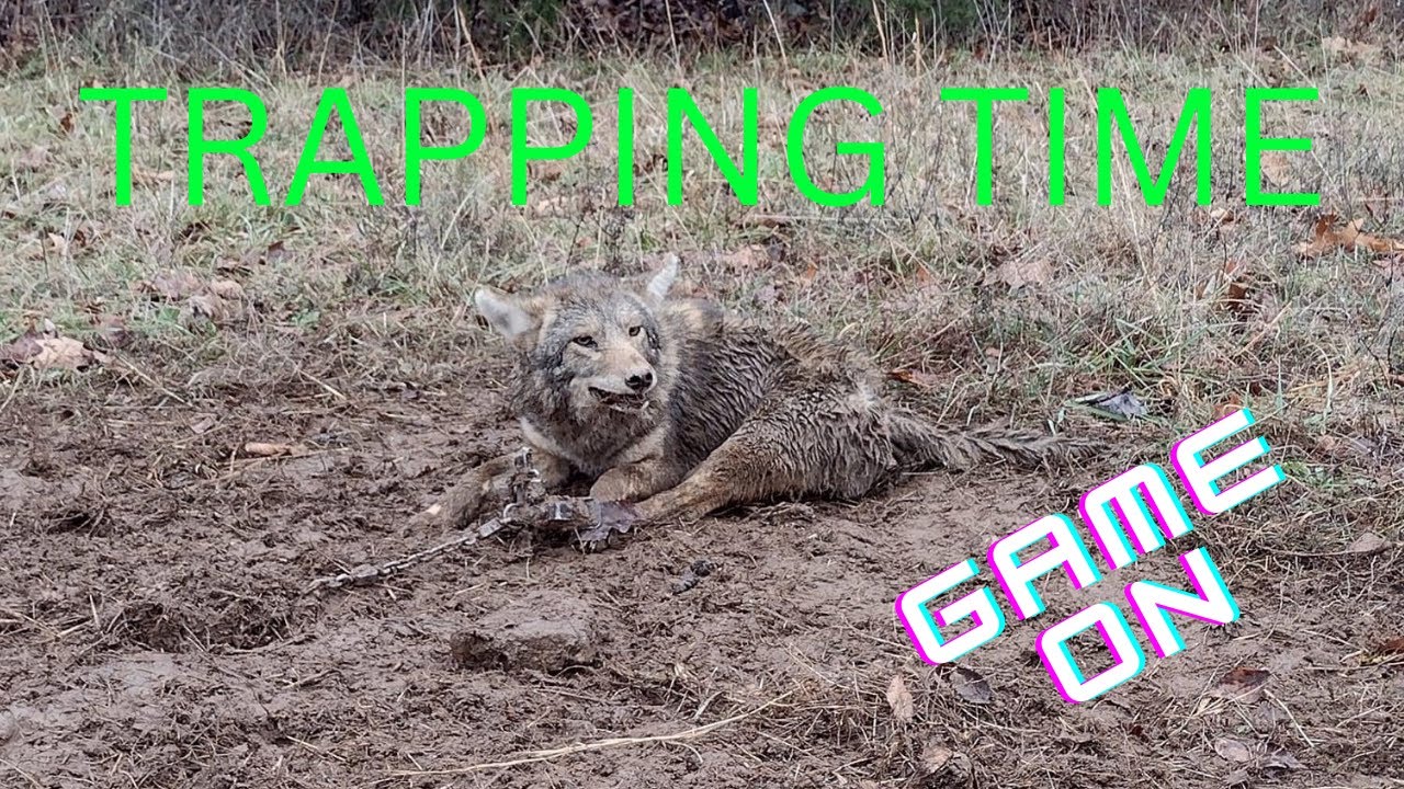 Checking traps (episode 3) @chadthomasson6807 - YouTube