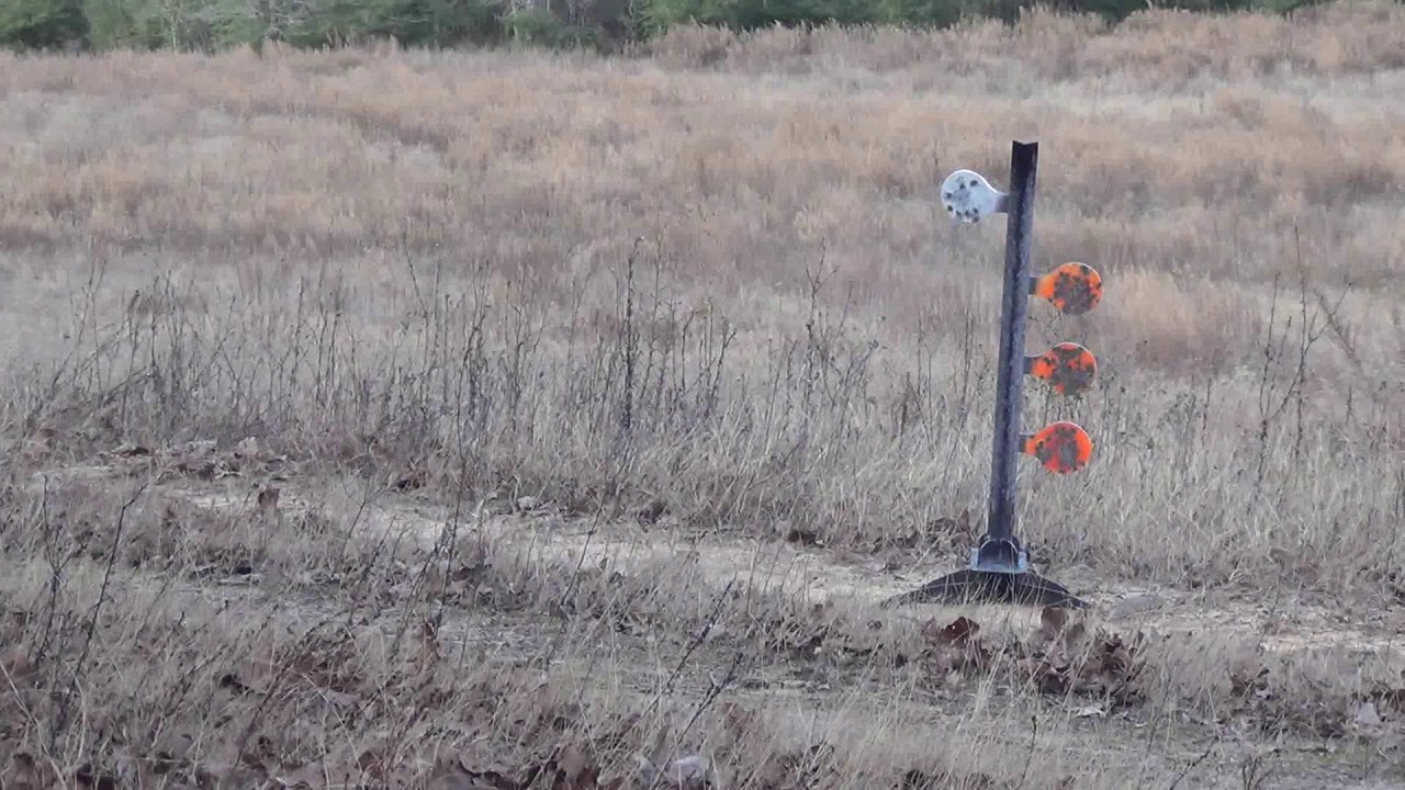 Dueling Tree (20 Rounds 22LR) - YouTube