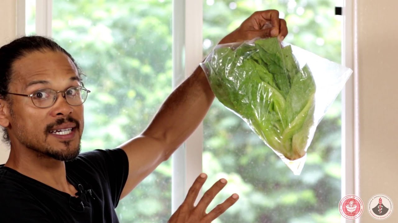 RLWD Food Preparation - YouTube