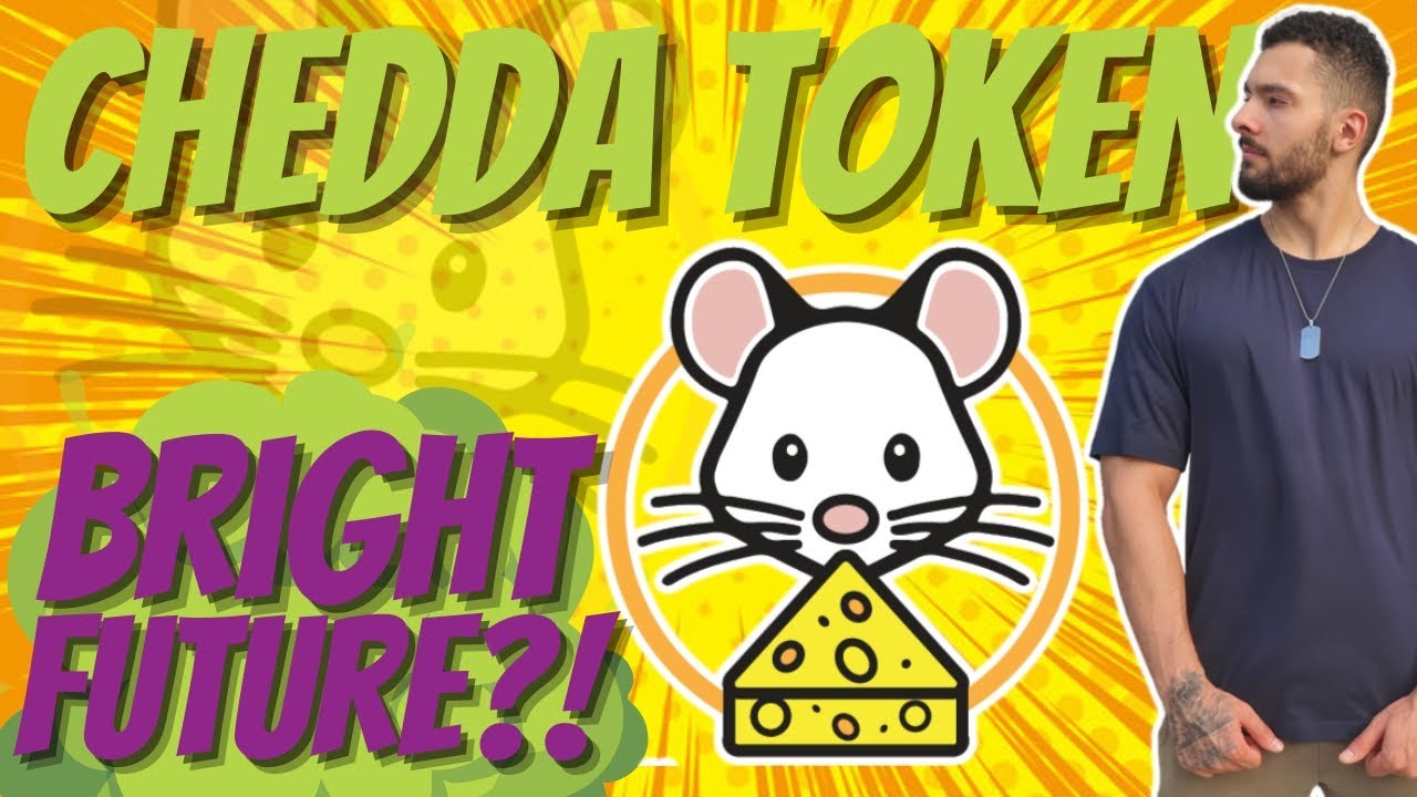 Chedda Token 🧀 Will This Token Recover?? 🧀 $CHEDDA - YouTube
