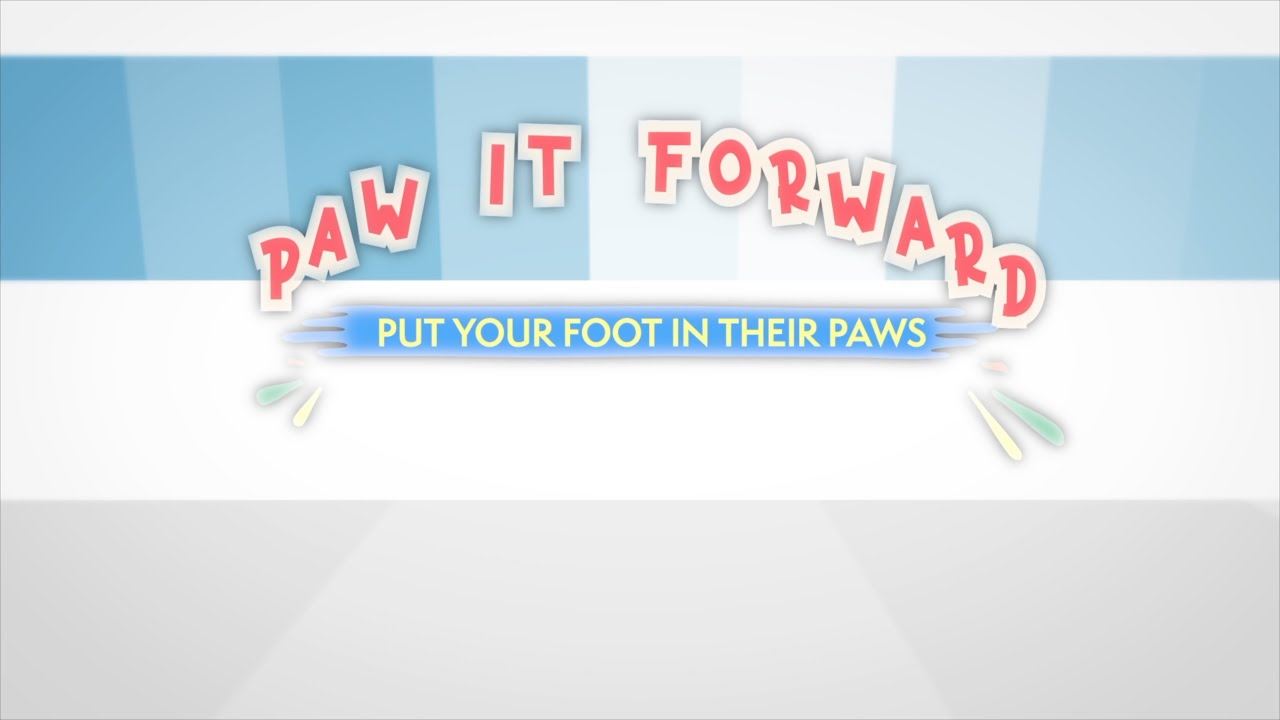 Paw it Forward - YouTube