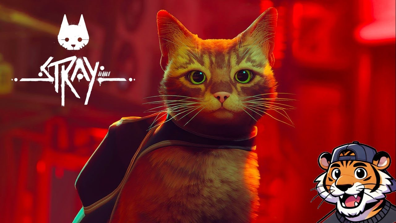 PC - Stray (Final) - YouTube