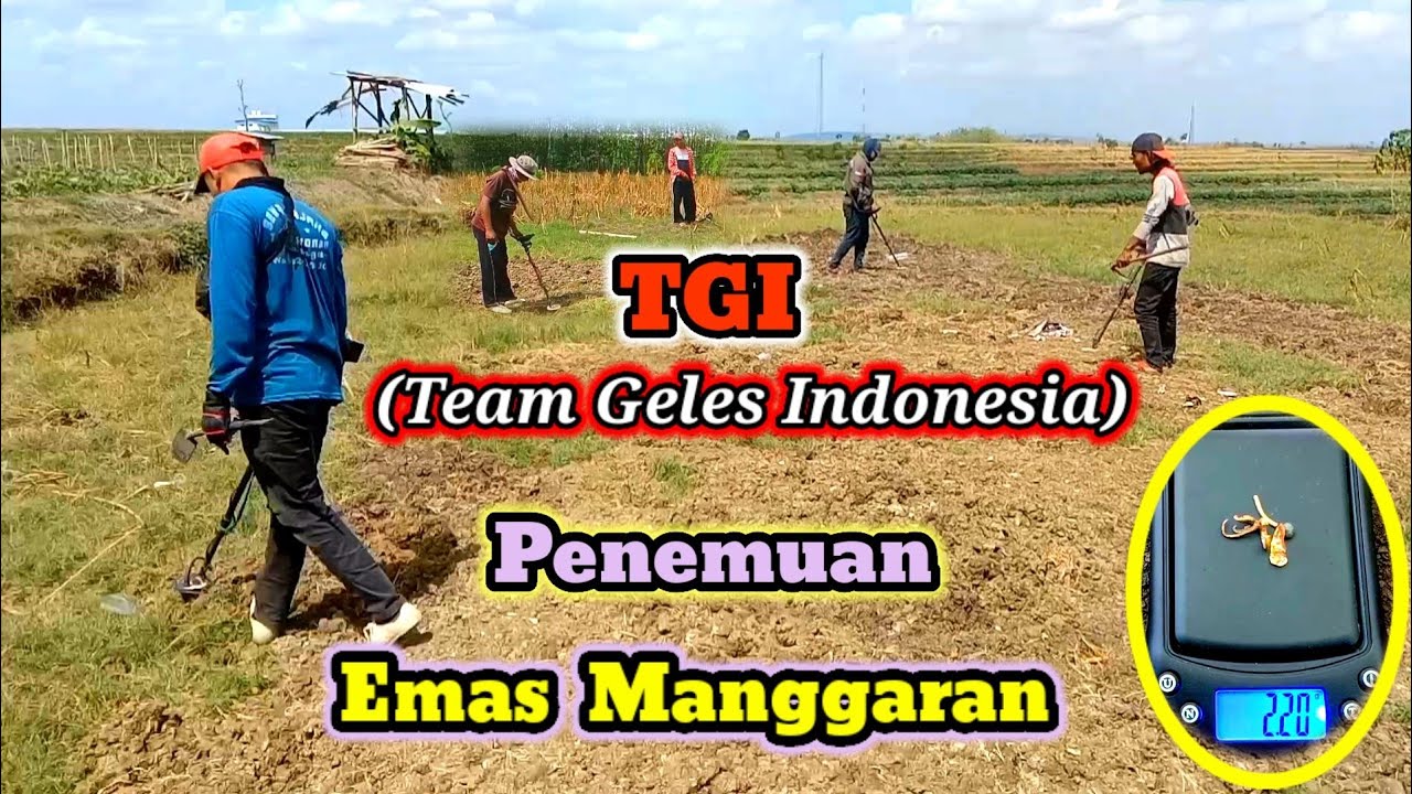 penemuan emas manggaran, ramai-ramai seru sekali‼️metal detector ...