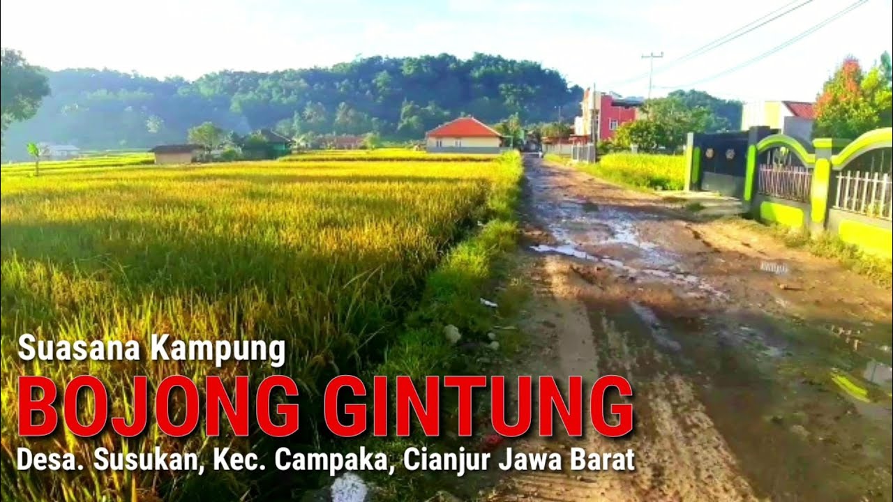 Kampung Bojong Gintung Alam yang Indah Seperti Lukisan Suasana Pedesaan ...
