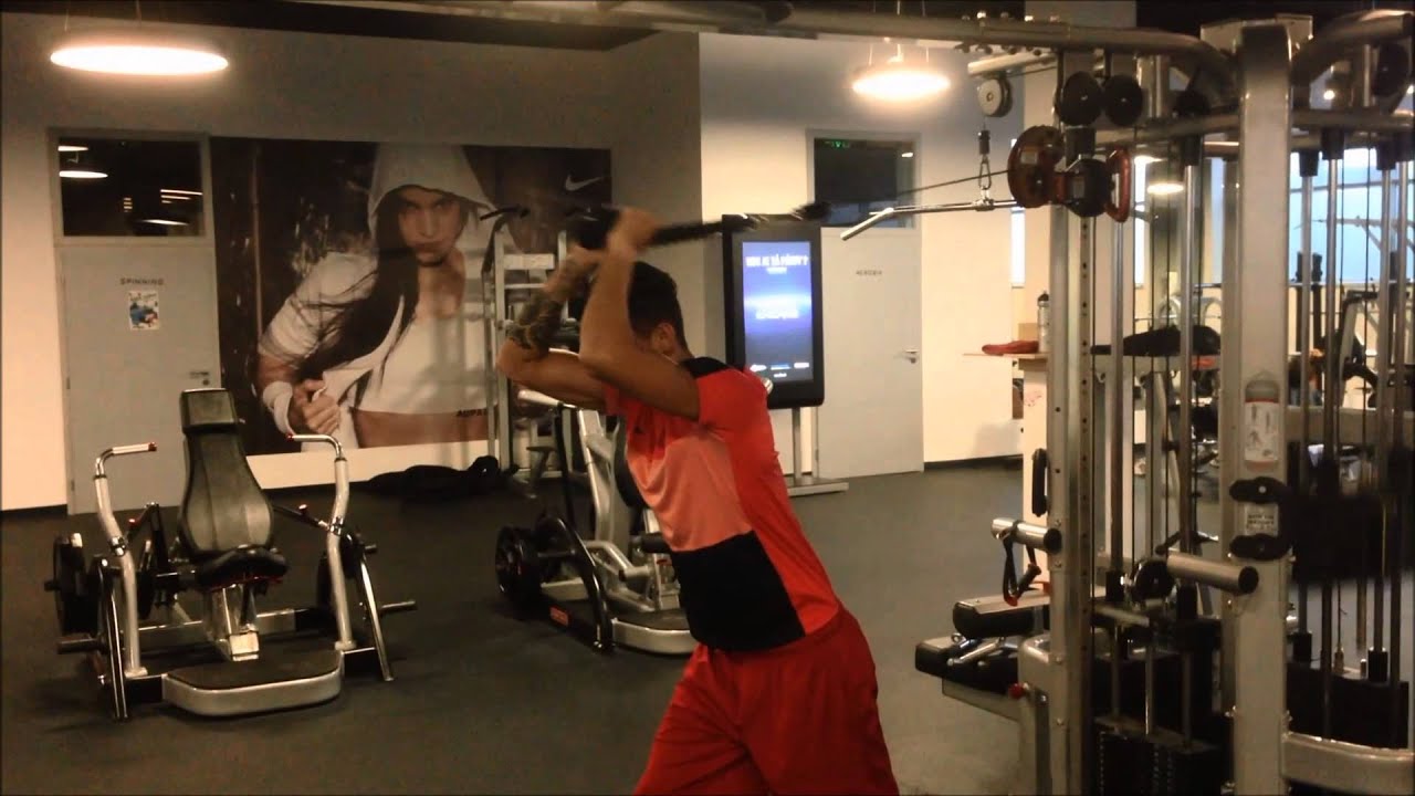Cable triceps extension, triceps push - down with back to the machine ...