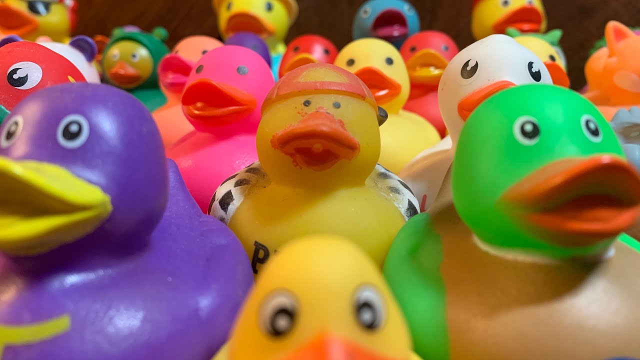 Cult of DUCK - YouTube