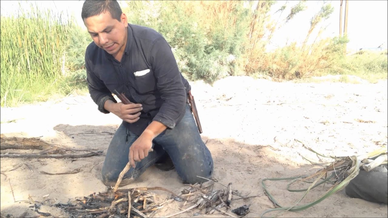 Desert Survival Food: Cattails (Typha latifolia) - YouTube