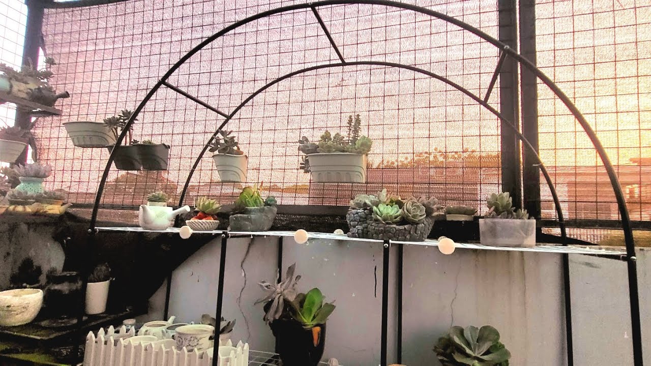 Archway Trellis with plant rack Idea||DiY plant rack for succulent ...