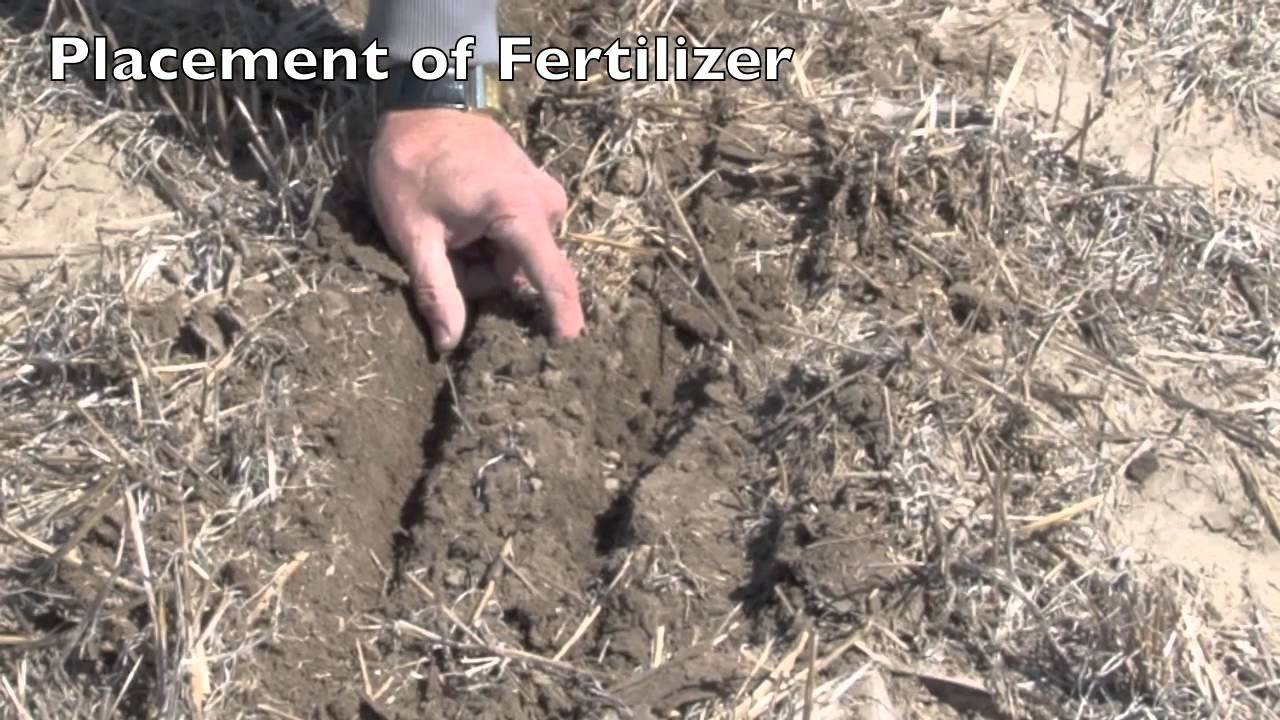 2x2 Fertilizer Disc, G2 - YouTube