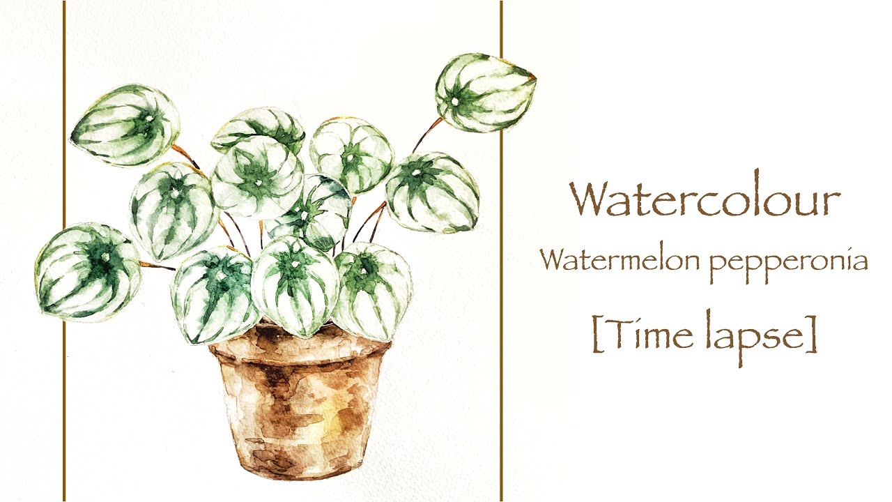 Watercolor painting, time lapse, watermelon calathea (1080p) - YouTube