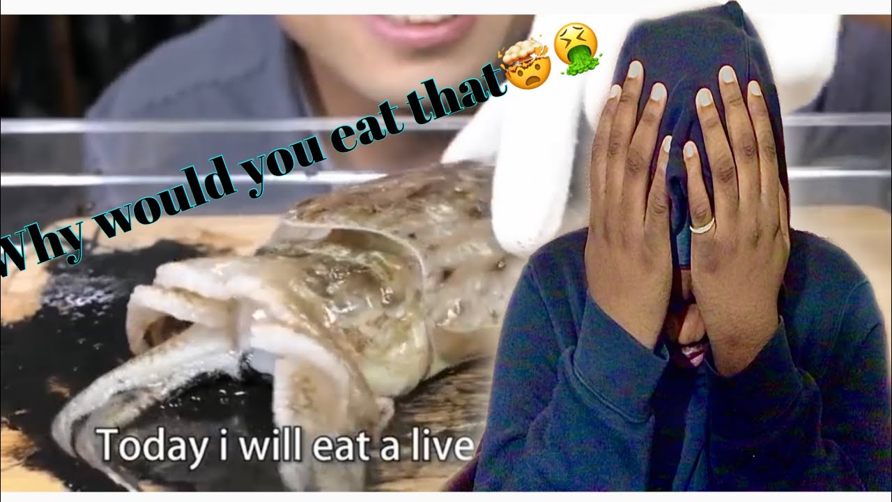 MOST DISGUSTING ASMR COMPILATION (REACTION VIDEO)PART 2!! - YouTube