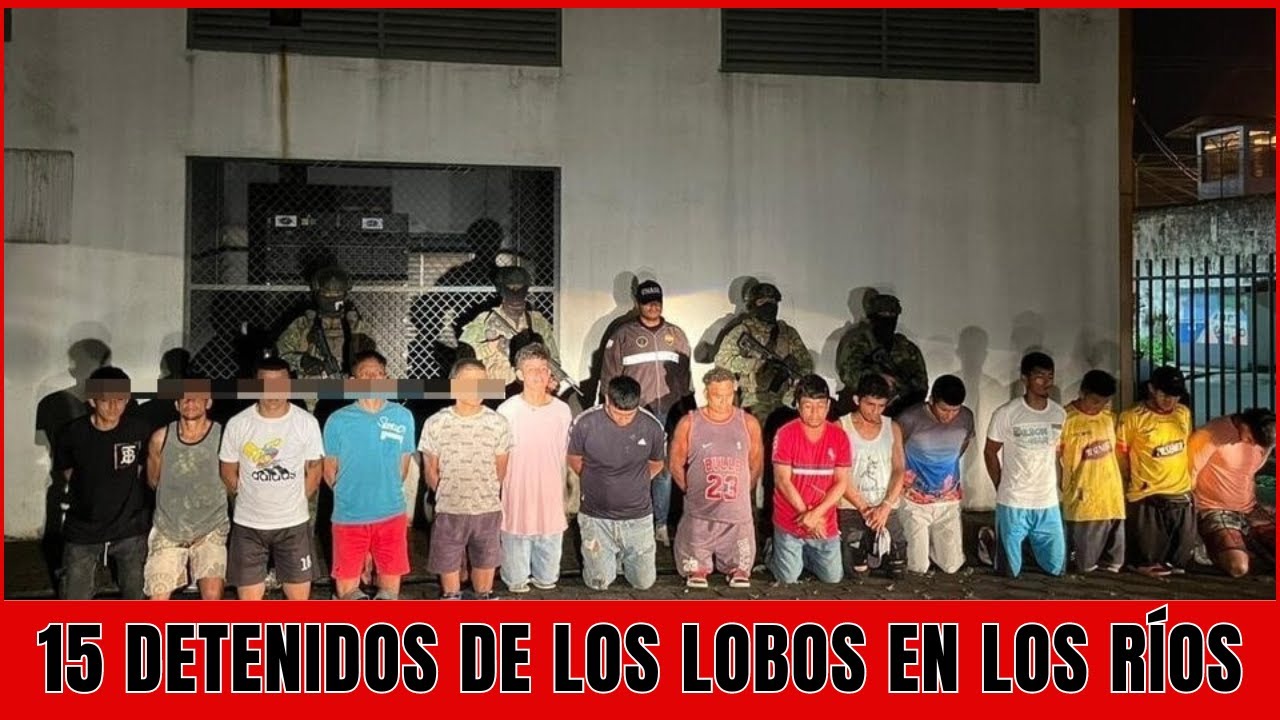 Fuerzas Armadas capturan a 15 integrantes de "Los Lobos" en Los Ríos ...