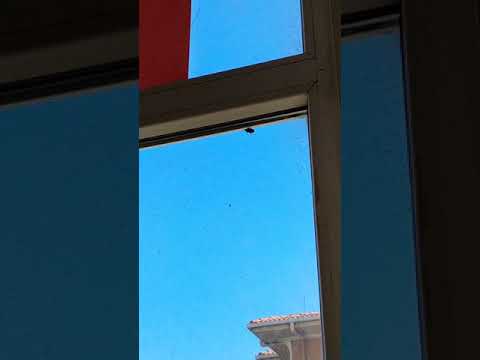 pkk'lı tarantula bayrağı indirmeye çalışırken TSK onu uçurumdan aşağı atıyor.