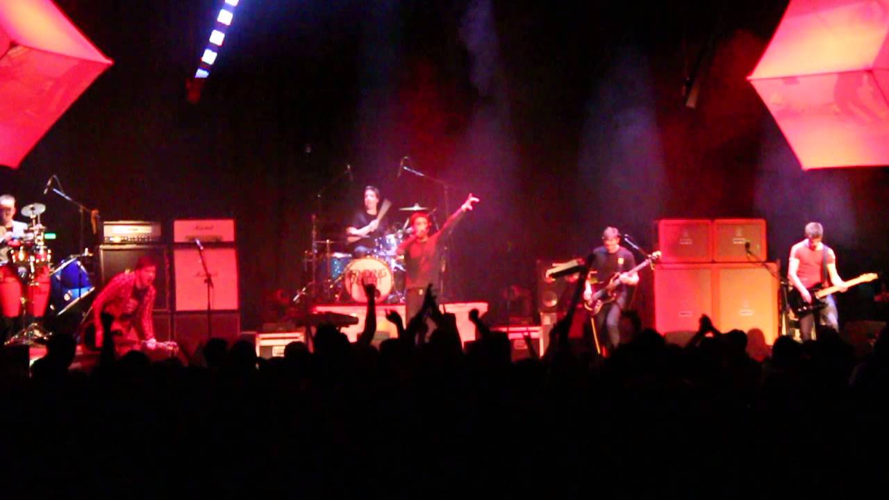 Finding Albert - Life and Times - Live (Feints Album Launch) - YouTube