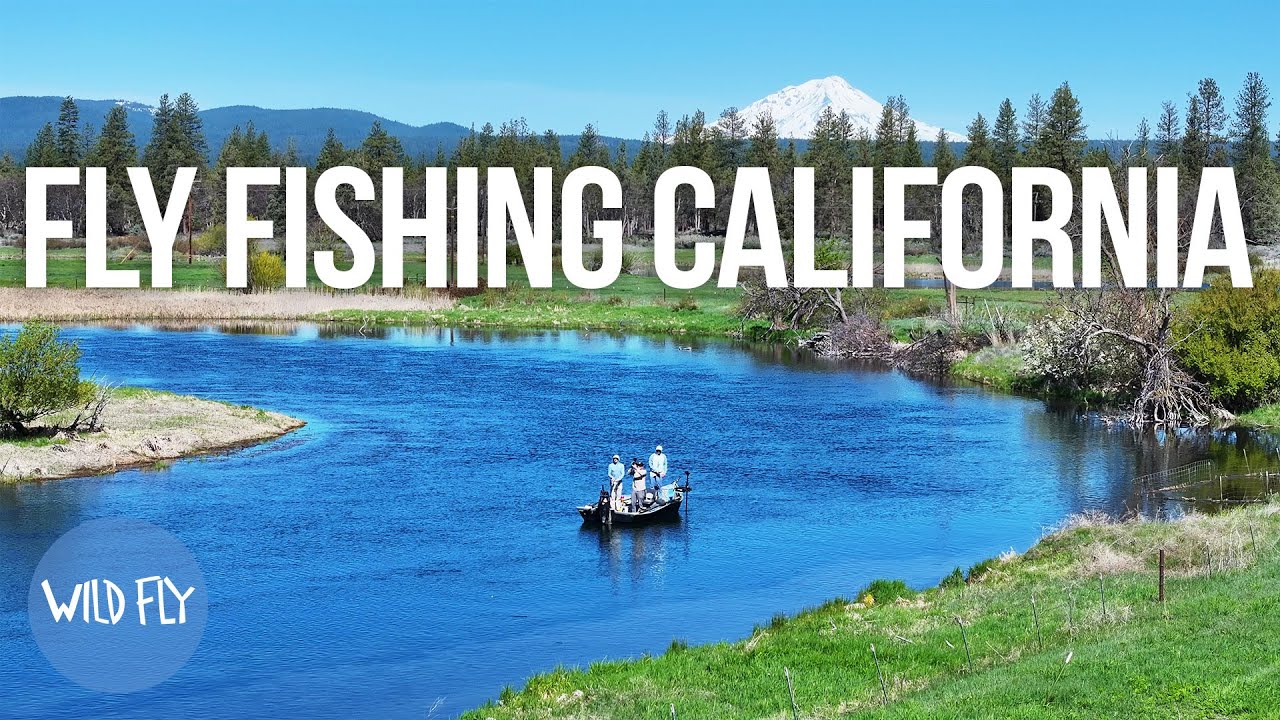 Fishing California's Largest Spring Creek (for Prehistoric Rainbow ...