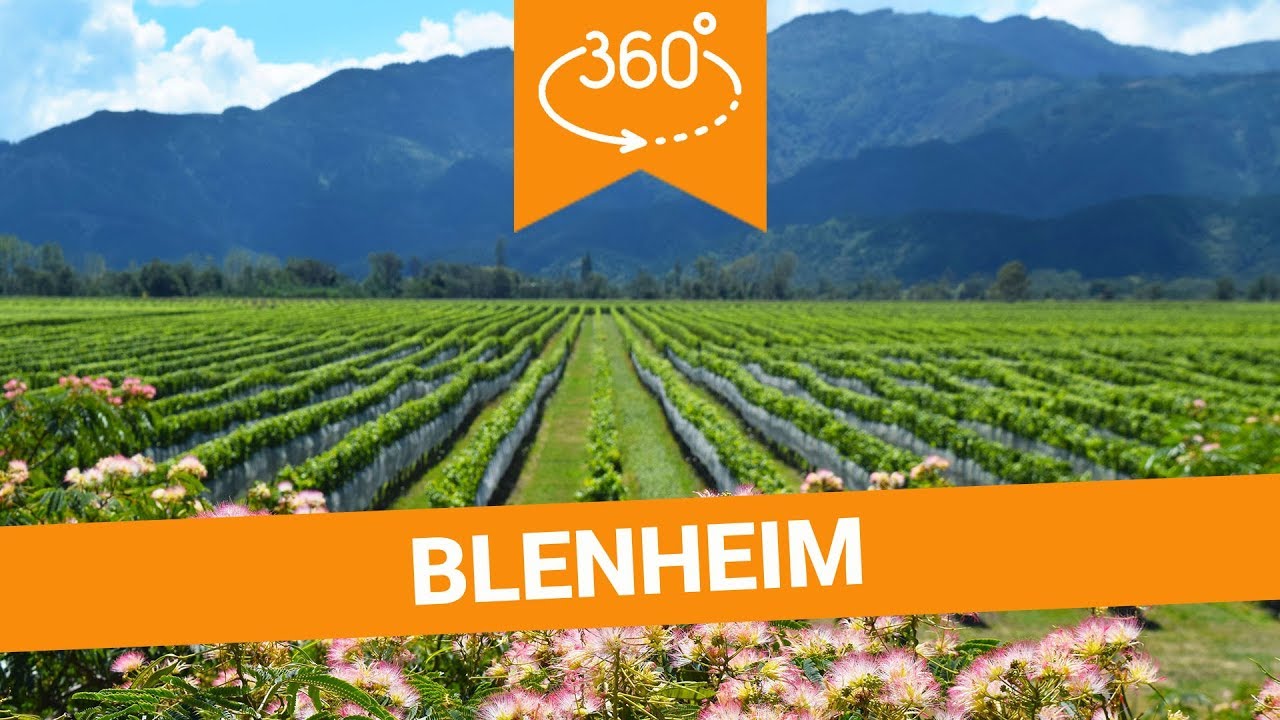 🥽 Things to Do in Blenheim in 360 - New Zealand VR - YouTube