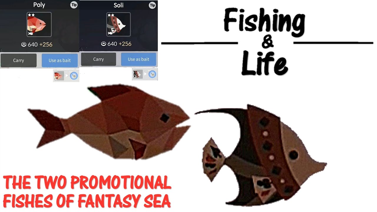 Fishing Life #24: Poly and Soli | Catching the Two Fishes That Came ...