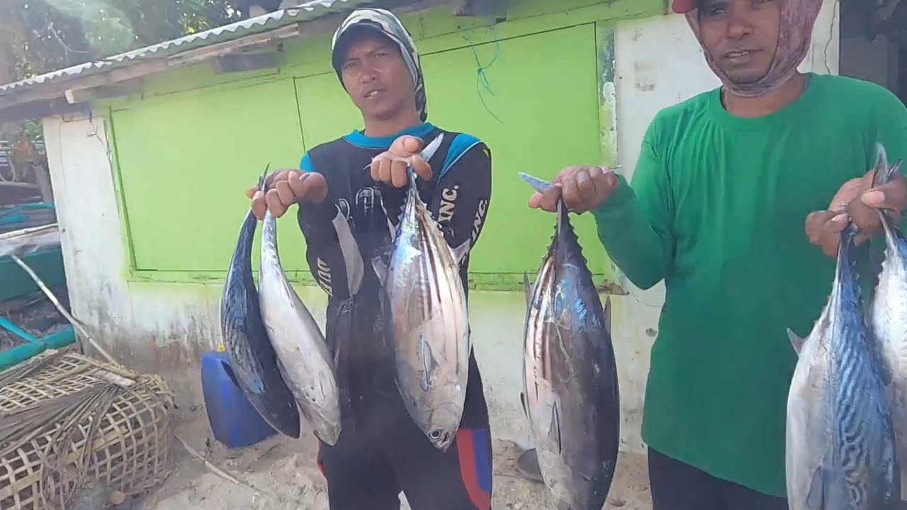 Nandito na ang Skipjack Tuna o Gulyasan - YouTube